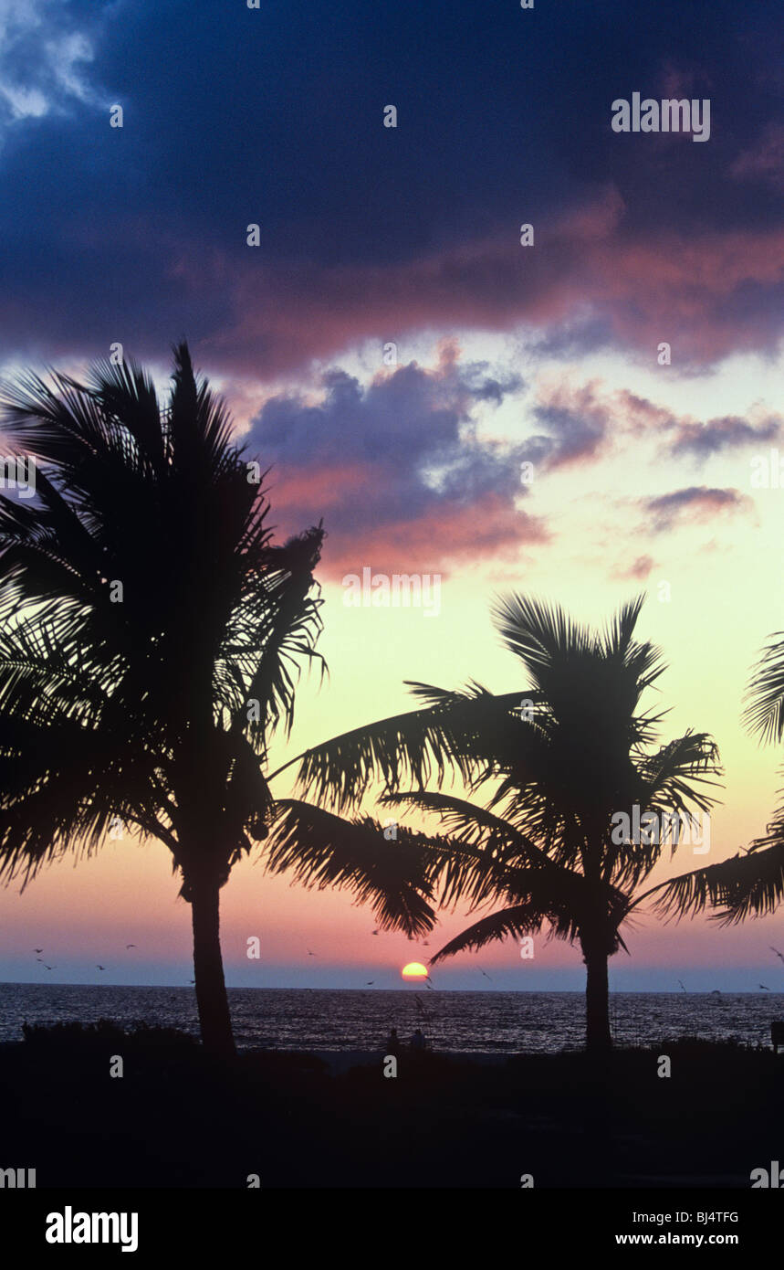 Captiva sunset hi-res stock photography and images - Alamy