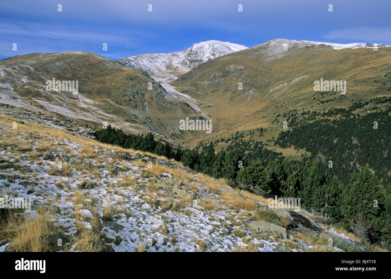 Mountain summit with coniferous forest in valley, Fontalba, El Ripolles ...