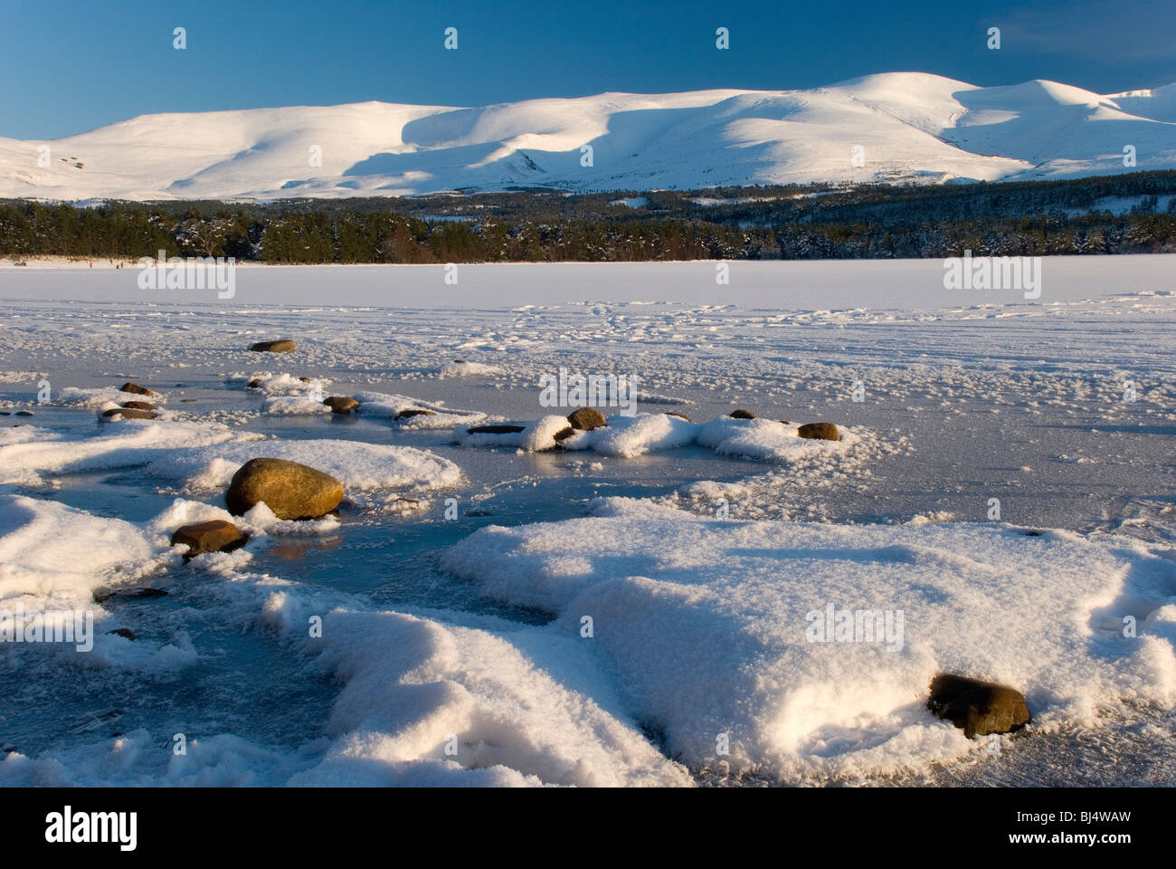 Winter at Loch Morlich, Aviemore, Scotland Stock Photo - Alamy