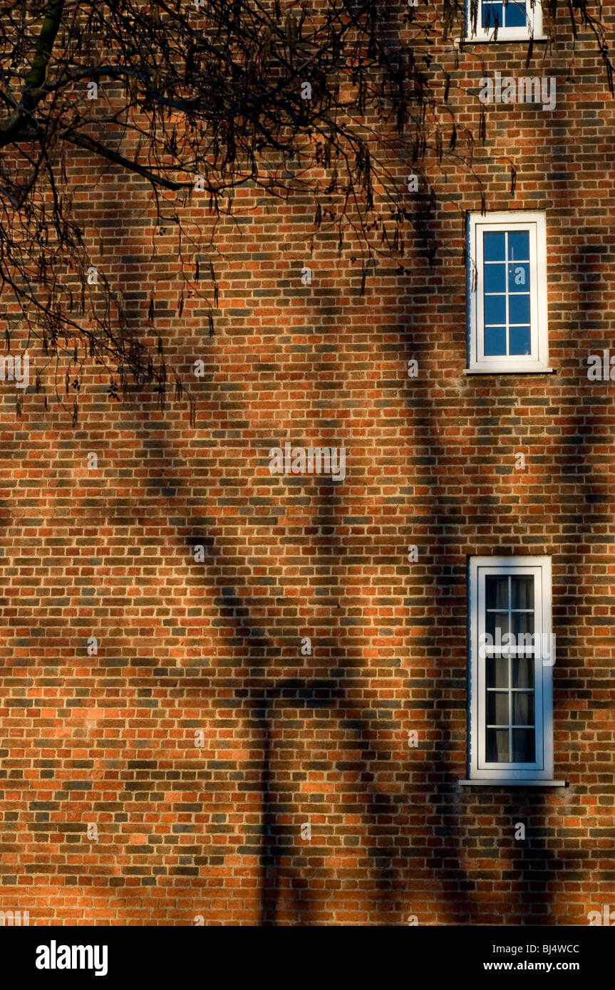 shadows on building Stock Photo - Alamy