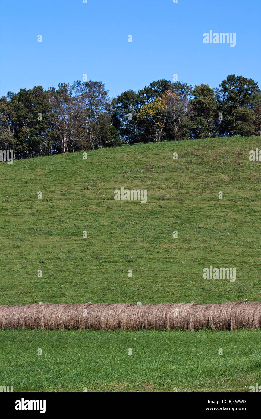 Sky life round house hi-res stock photography and images - Alamy