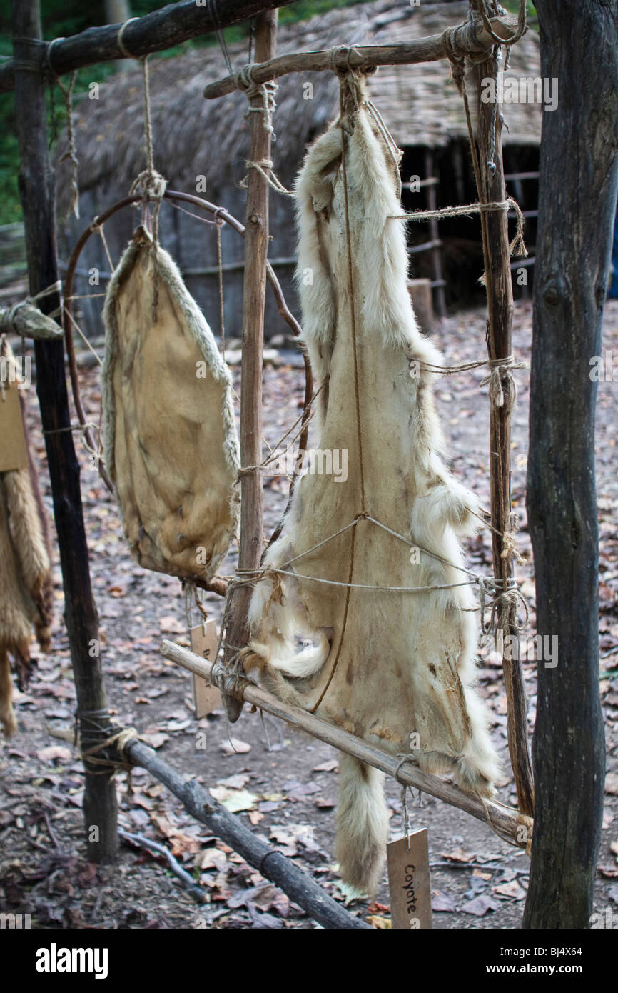 Monacan indian hi-res stock photography and images - Alamy