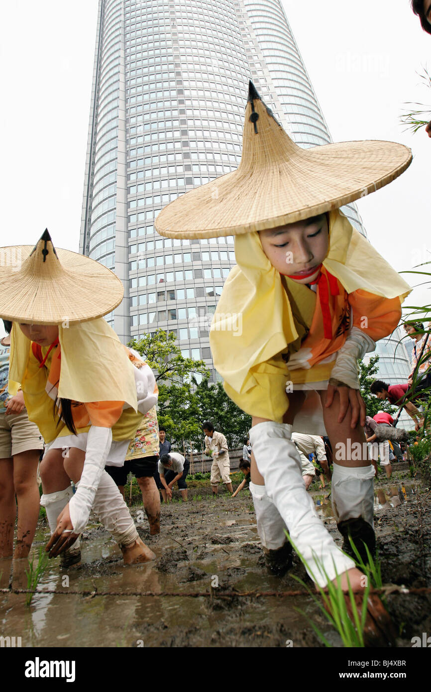 Tokyo residents dressed in traditional garb plant rice on the roof top ...