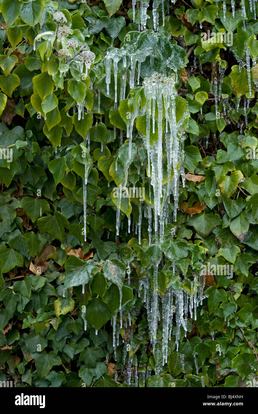 Icicles hi-res stock photography and images - Alamy