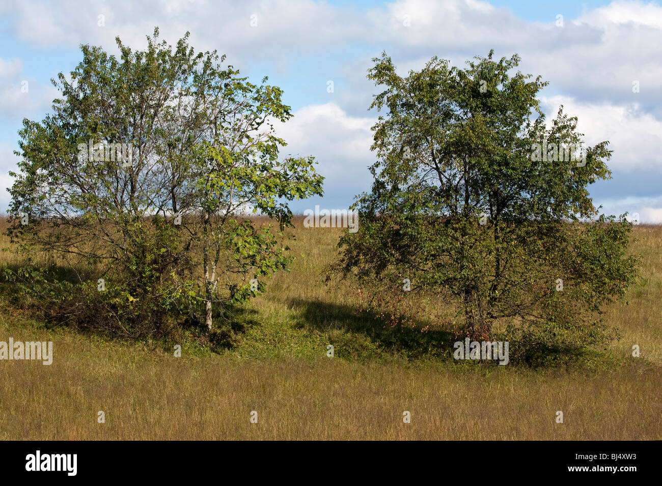 Landscape outside horizon blue sky rural countryside farmland ...