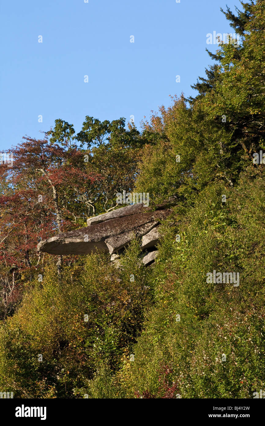 North Carolina National Forest Appalachian Mountains Blue Ridge Parkway ...
