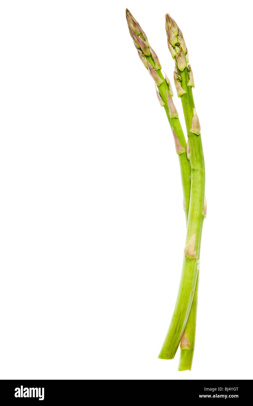 asparagus isolated on a pure white background Stock Photo - Alamy
