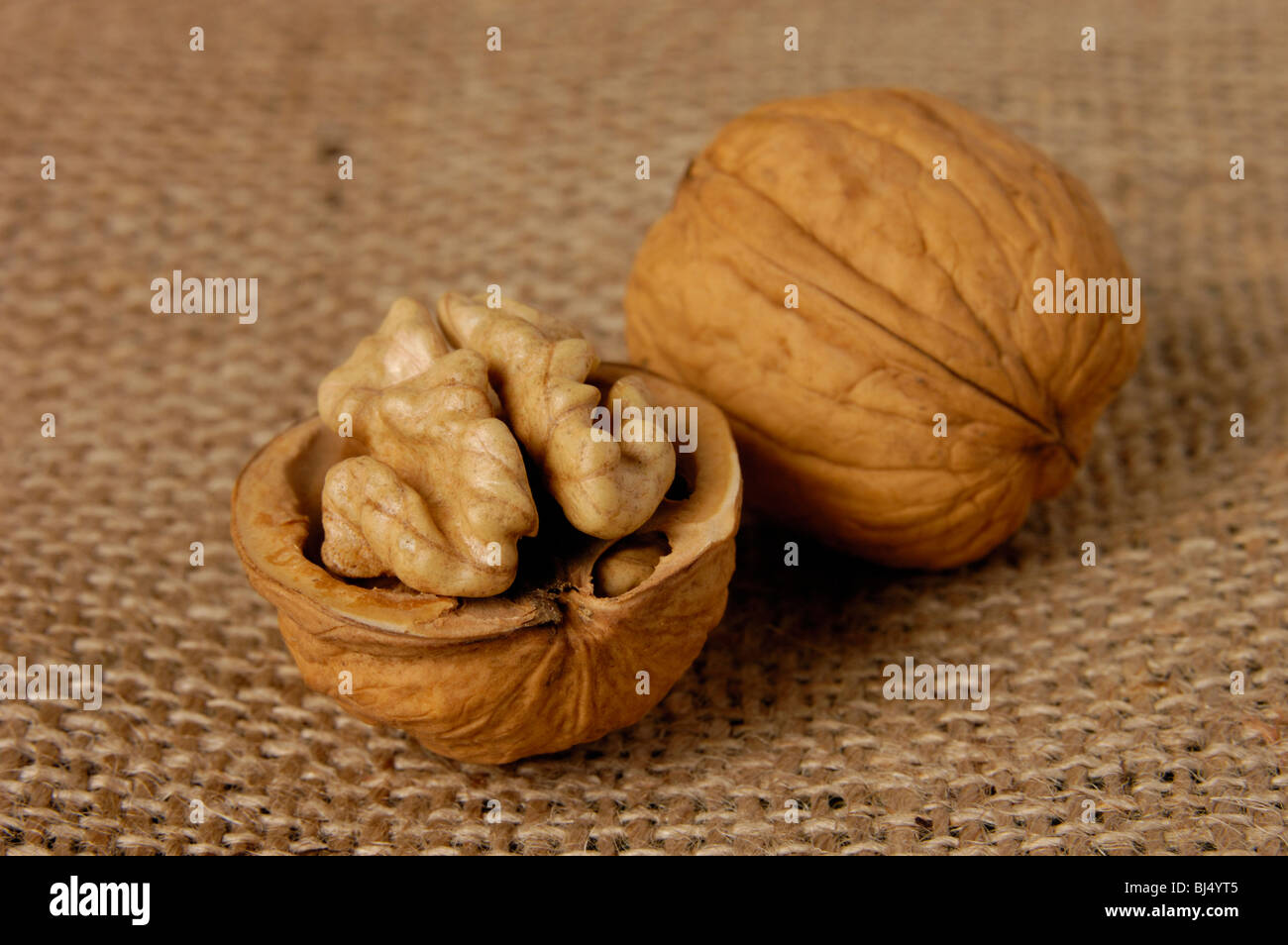 Walnut closeup over sacking background artistic food still life Stock ...