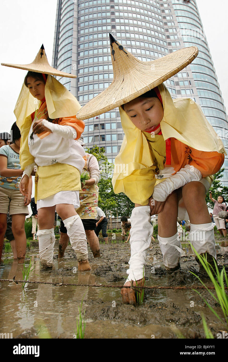 Tokyo residents dressed in traditional garb plant rice on the roof top ...