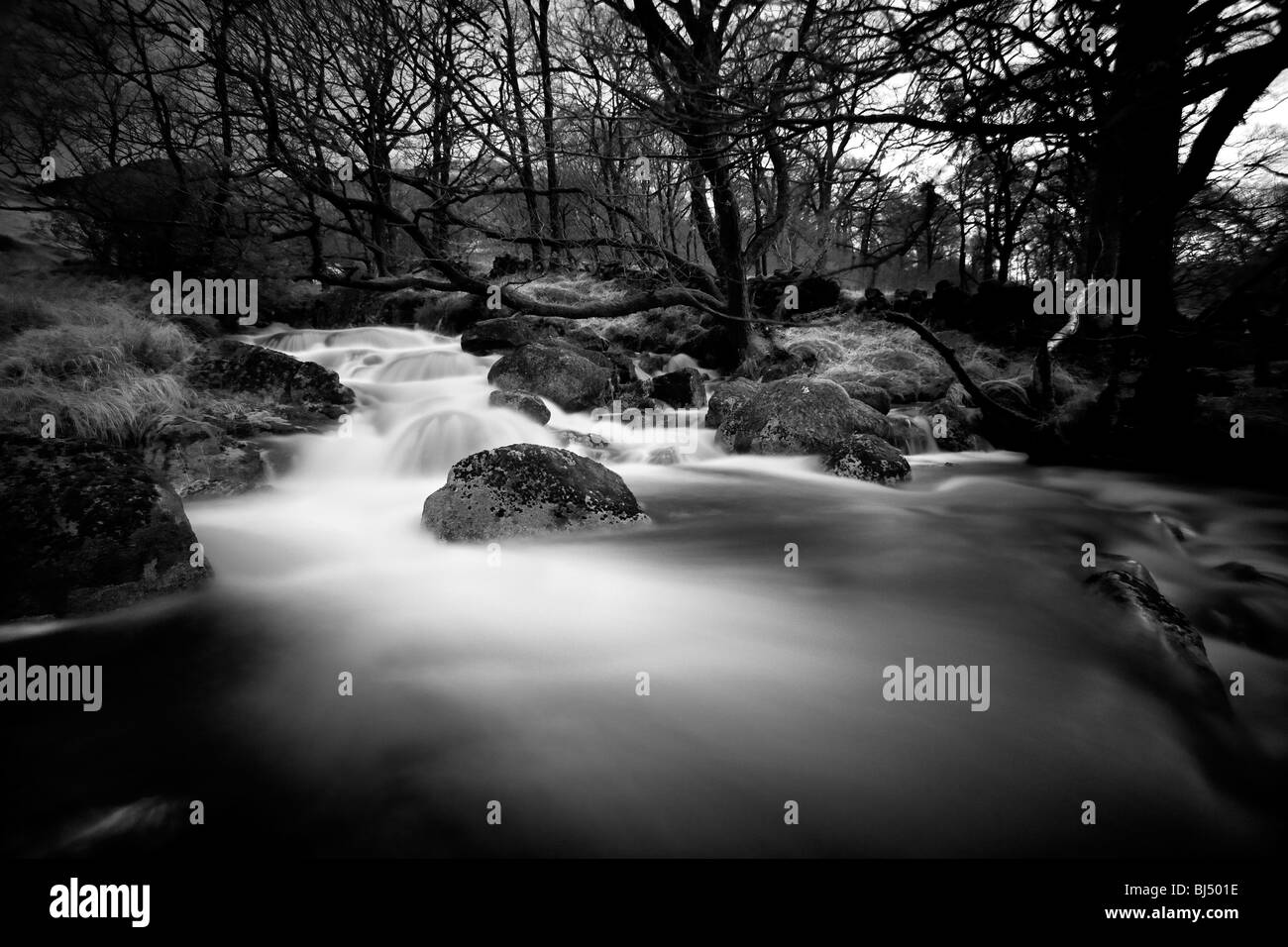 Loch trool glen scotland Black and White Stock Photos & Images - Alamy