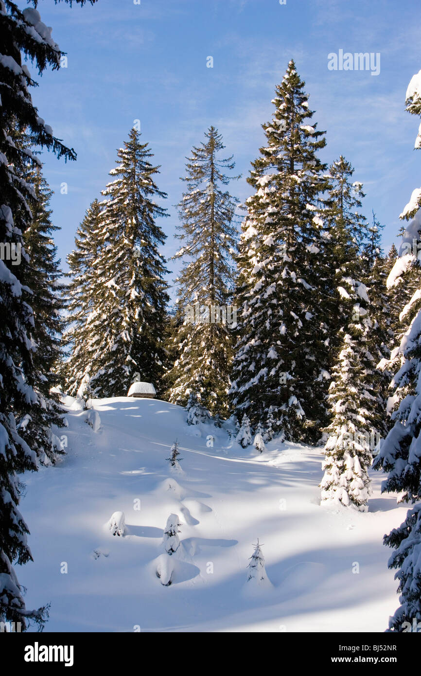 A winter scene Stock Photo - Alamy