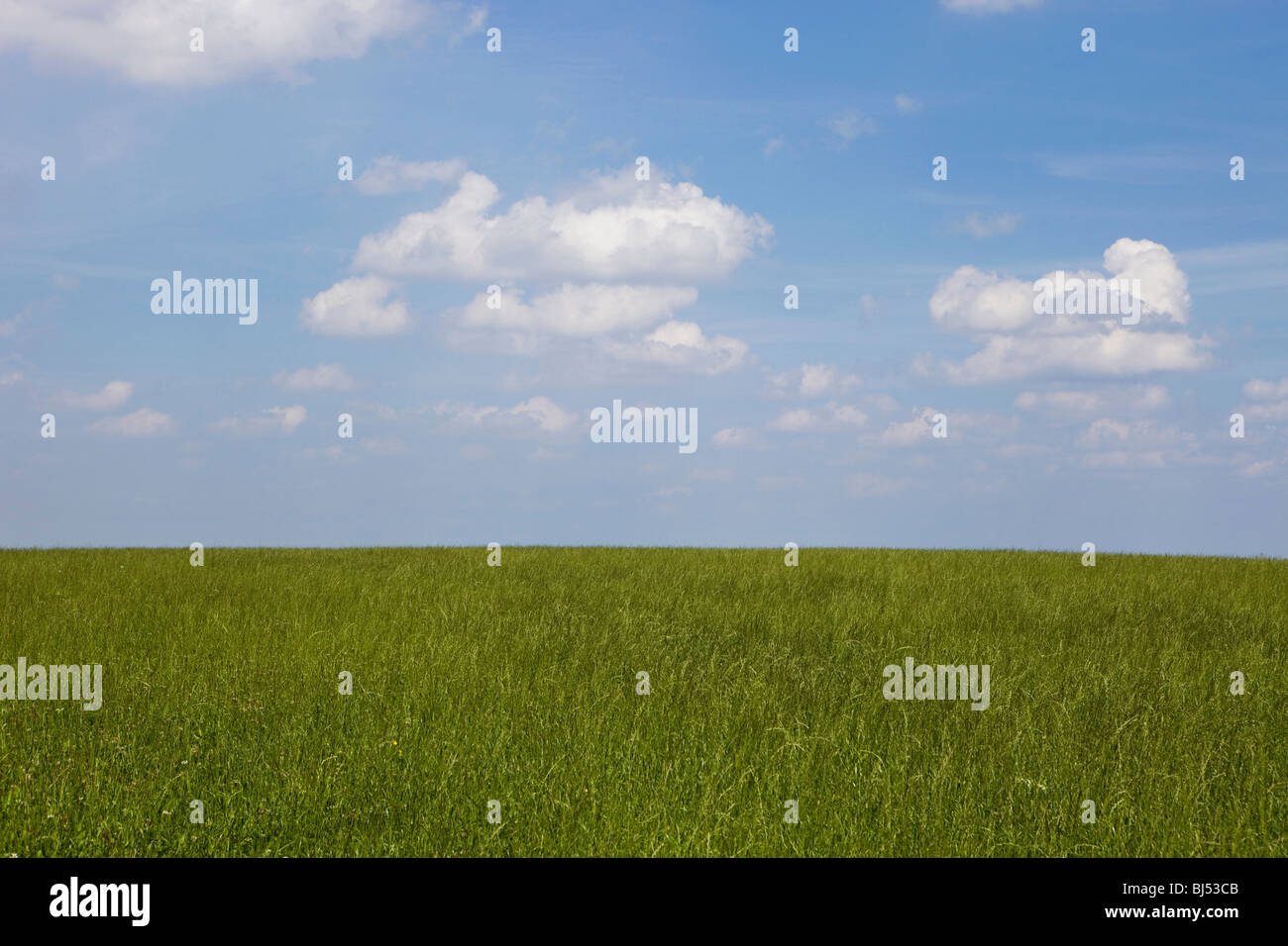 A field and sky Stock Photo - Alamy