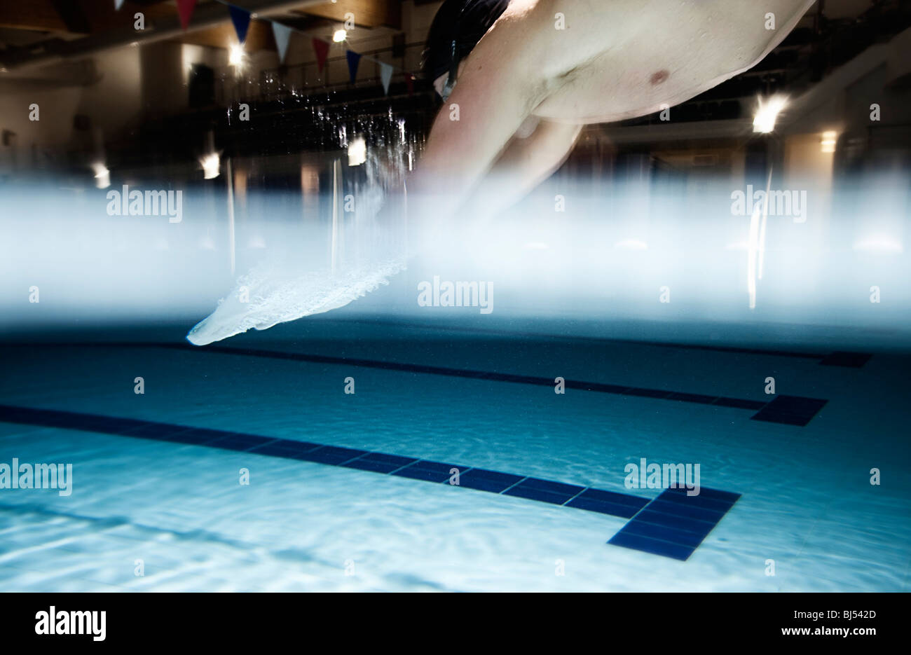 Man diving into a Pool Stock Photo - Alamy