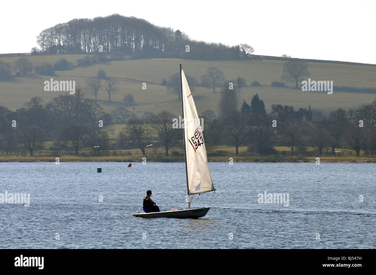 Bartley reservoir frankley birmingham hi-res stock photography and ...