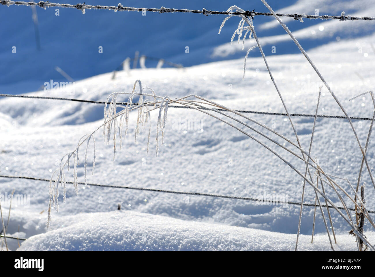 Temperatures of minus 17 and beyond created pretty patterns and effects ...