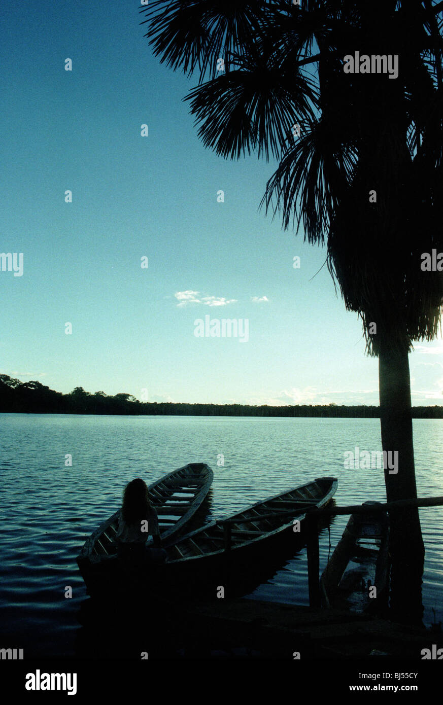 Exploring amazon rain forest hi-res stock photography and images - Alamy