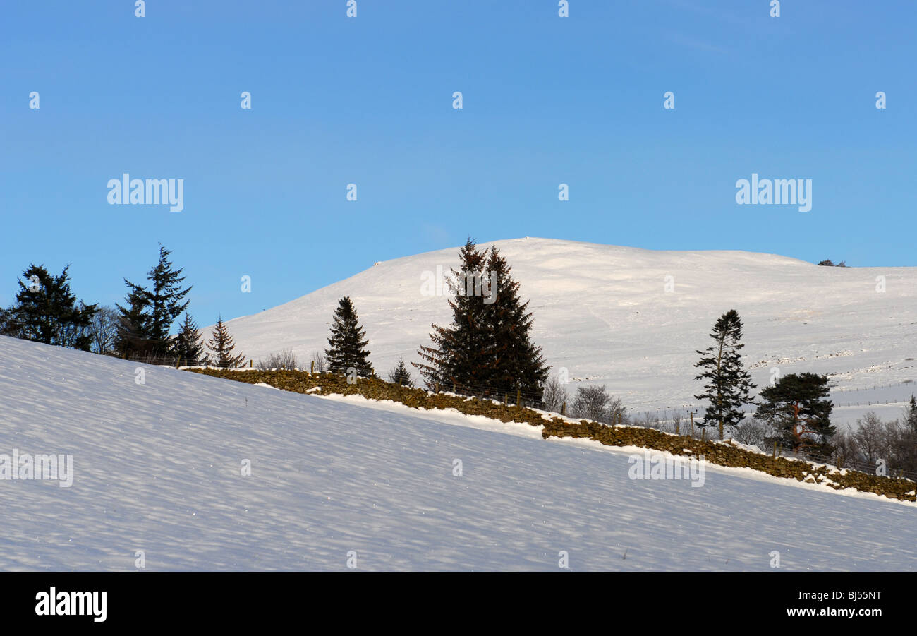 Hill above treeline hi-res stock photography and images - Alamy