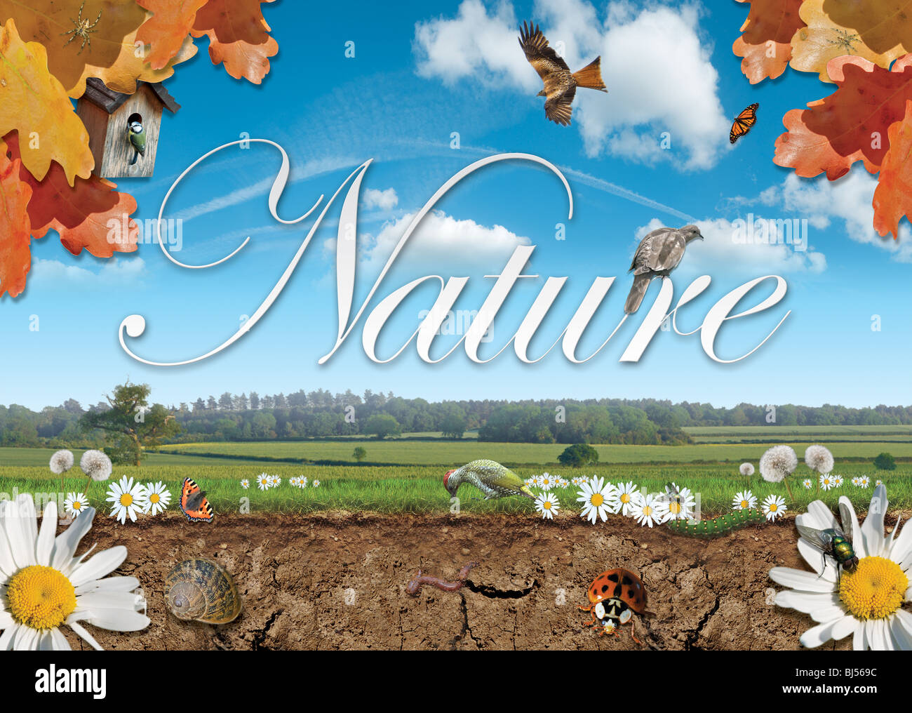 A photographic composite showing a nature scene including animals ...