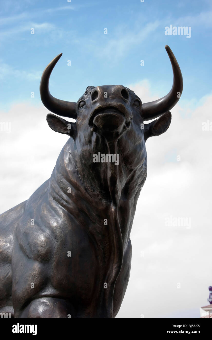 Bull neck hi-res stock photography and images - Alamy