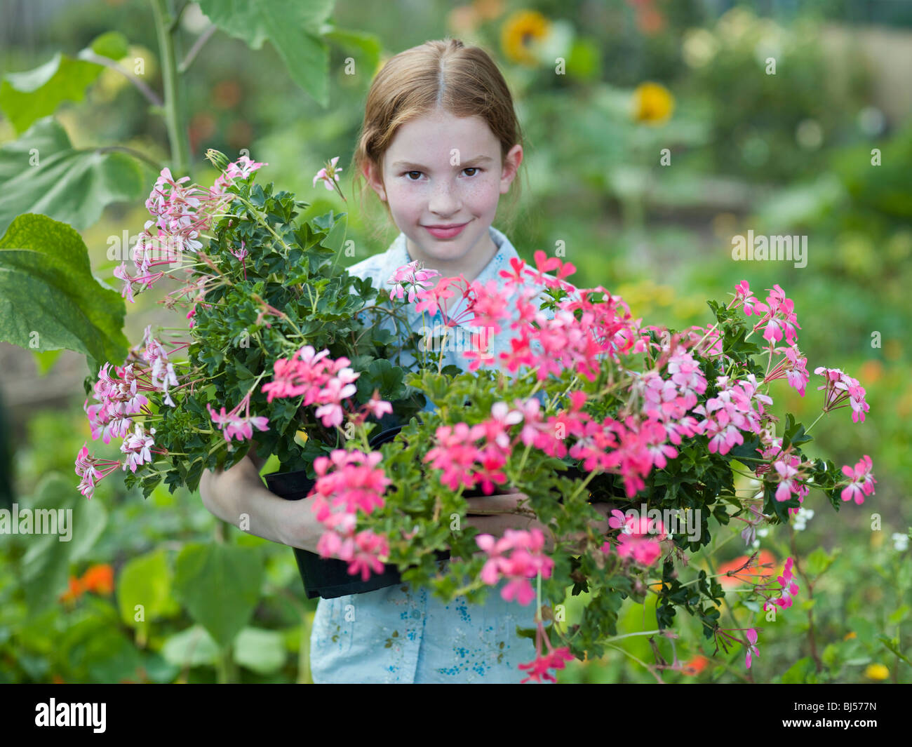 A young girl with flowering pot plants Stock Photo - Alamy