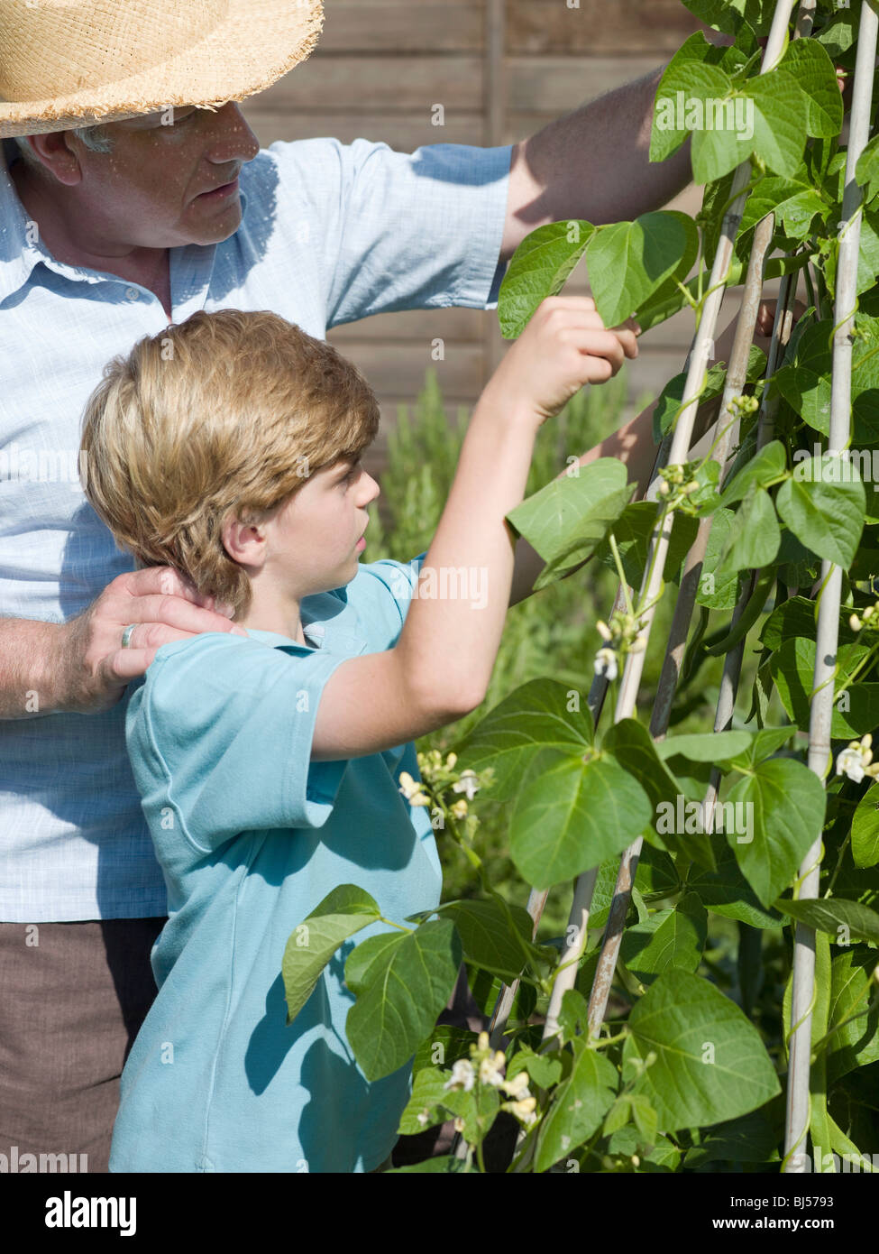 Father instructing son hi-res stock photography and images - Alamy