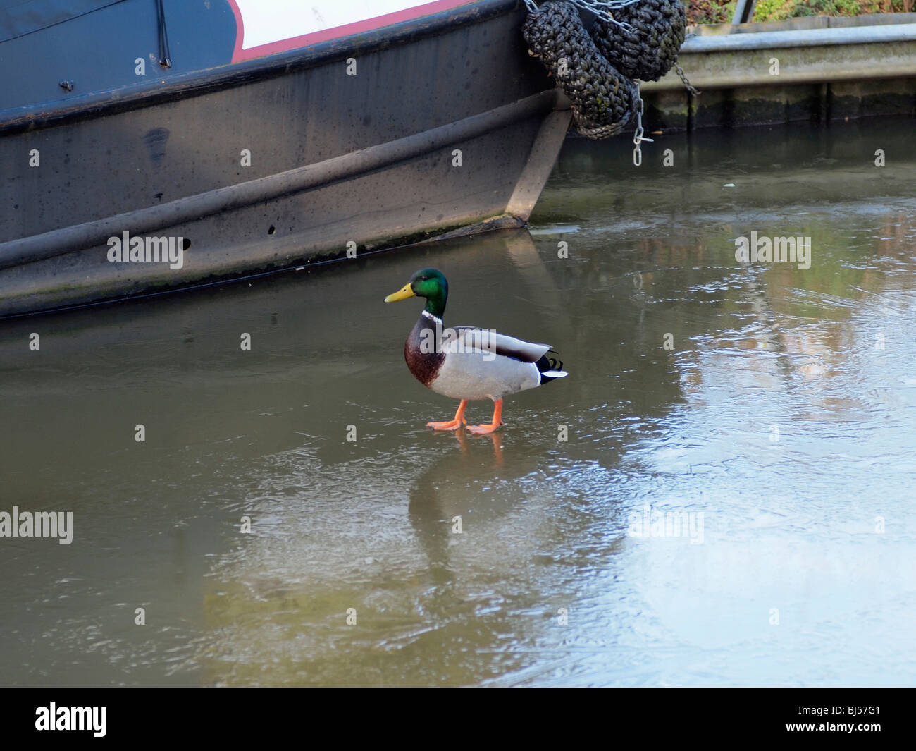 Stoke prior worcestershire hi-res stock photography and images - Alamy