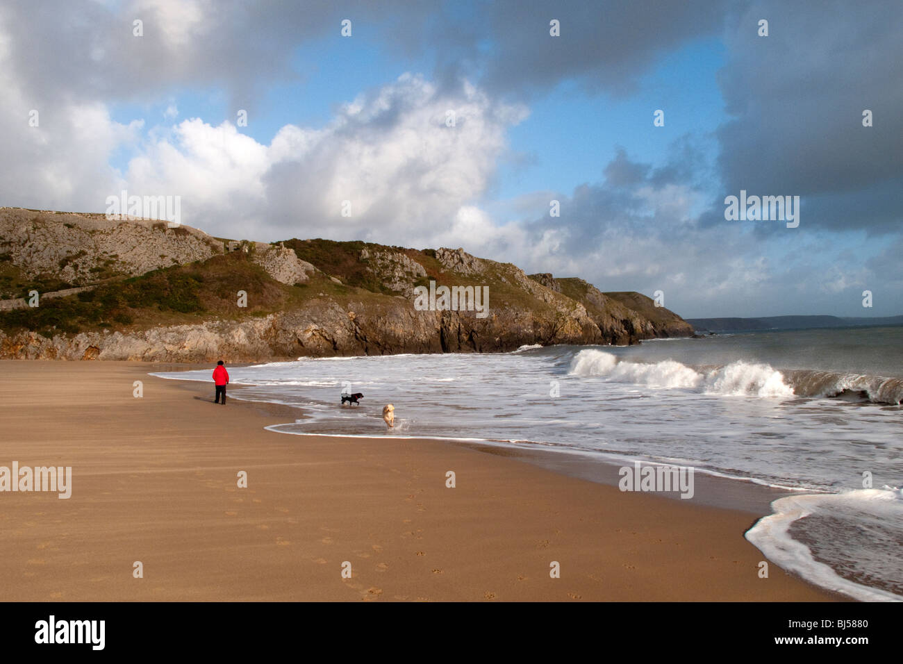 Barafundle Bay dog walk, Pembrokeshire, Wales, UK Stock Photo - Alamy