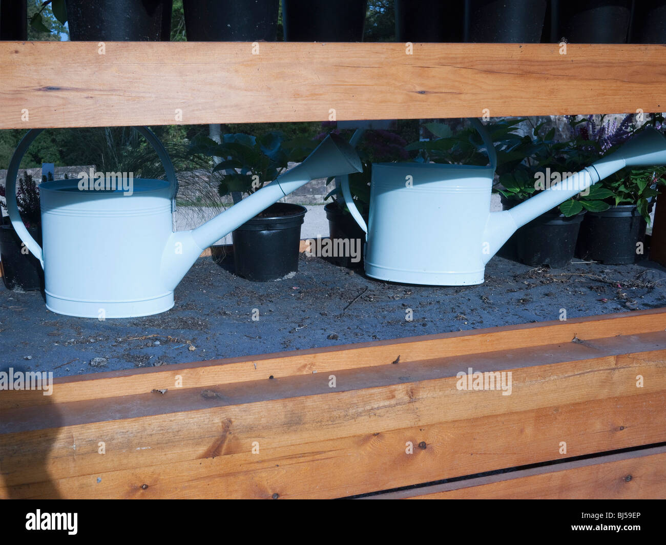 Watering cans display hi-res stock photography and images - Alamy