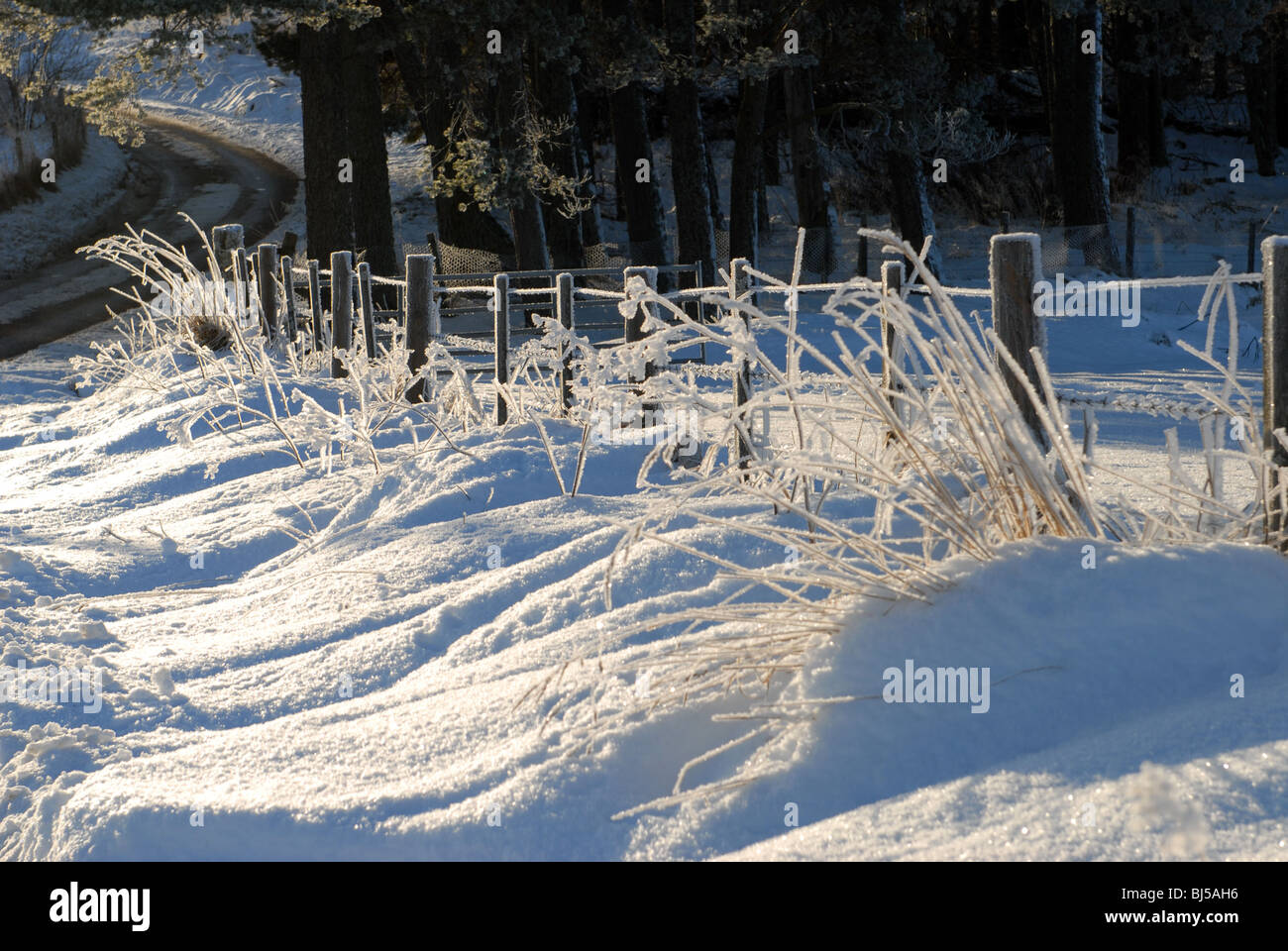 Temperatures of minus 17 and beyond created pretty patterns and effects ...