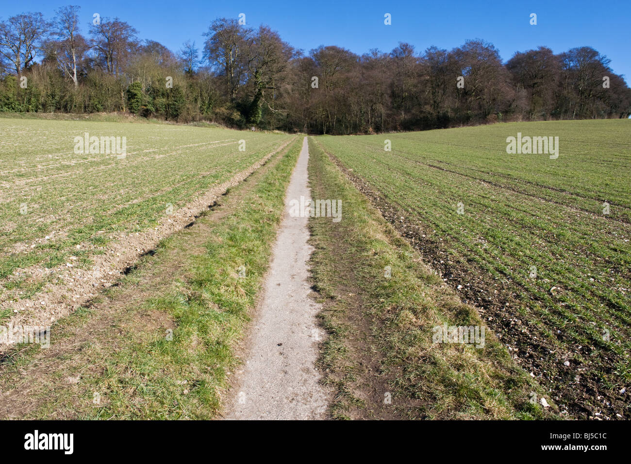 Public right of way, a rural public footpath through a field in ...