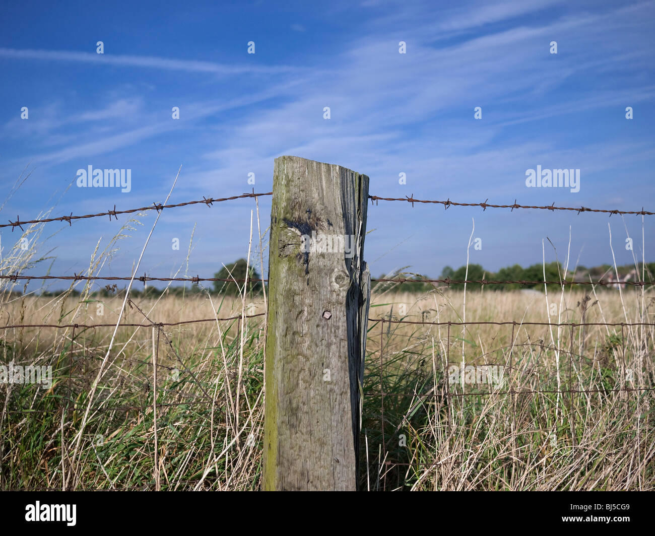 barbed wire on a gate Stock Photo - Alamy