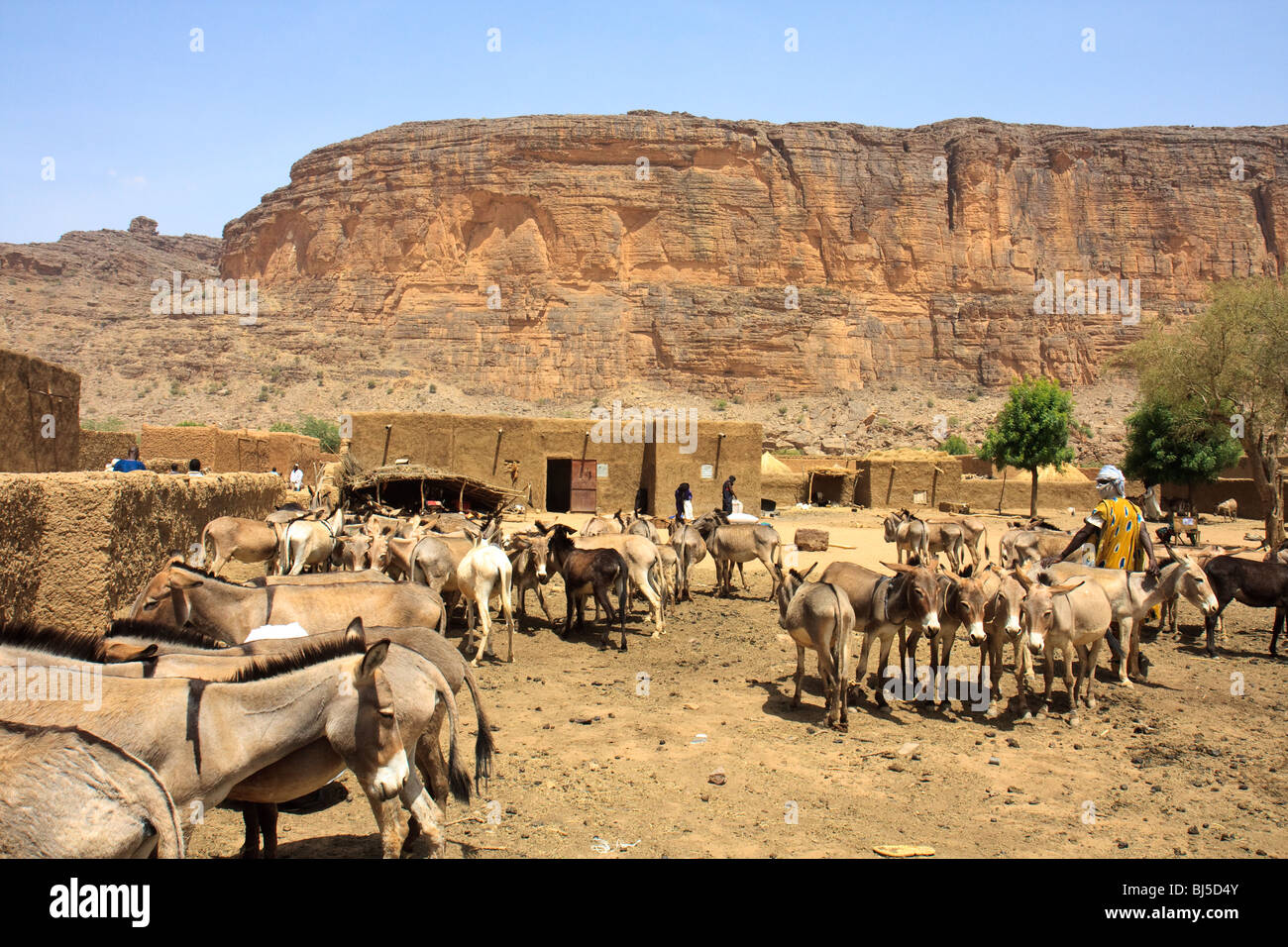Africa Boni Donkeys Livestock Market Mali Stock Photo - Alamy