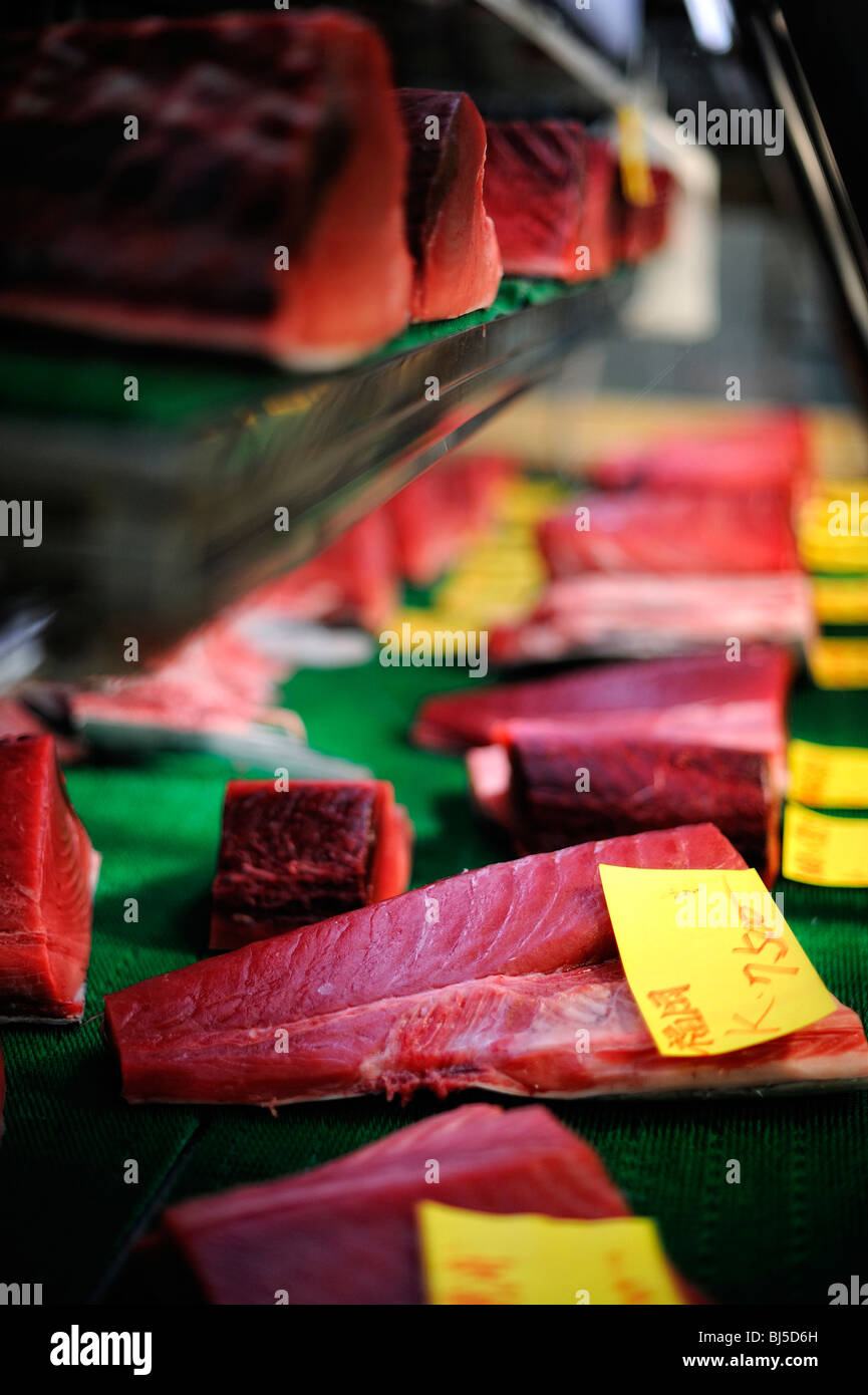 Blocks of blue fin tuna is lined up on the refrigerator of a retailer ...