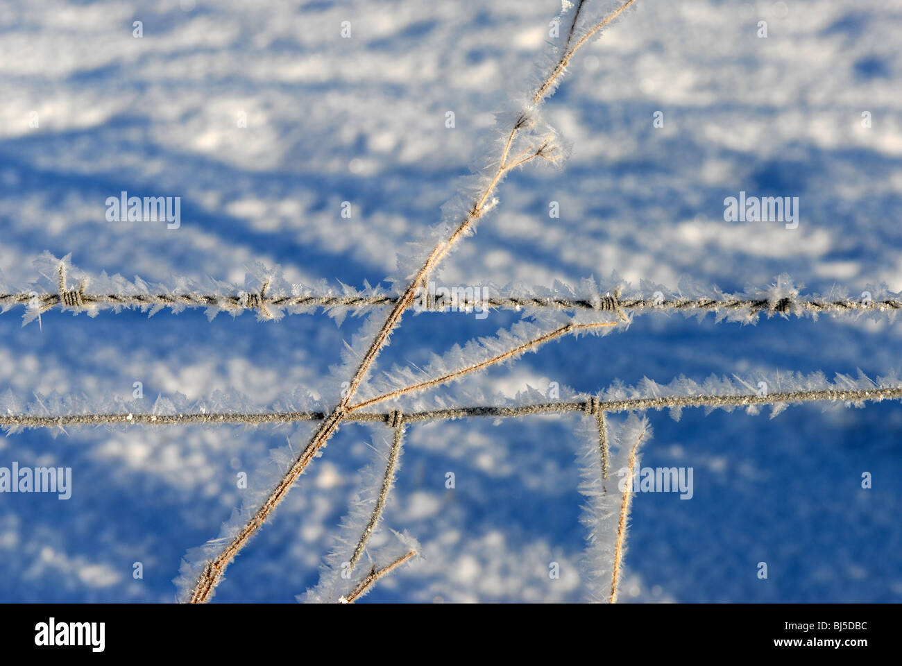 Temperatures of minus 17 and beyond created pretty patterns and effects ...