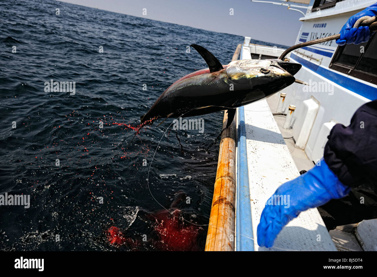 Japan tuna fishing boat hi-res stock photography and images - Alamy