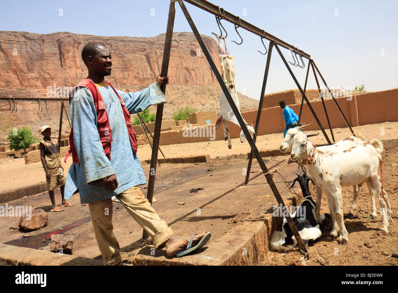 Abattoir Africa Stock Photos & Abattoir Africa Stock Images - Alamy