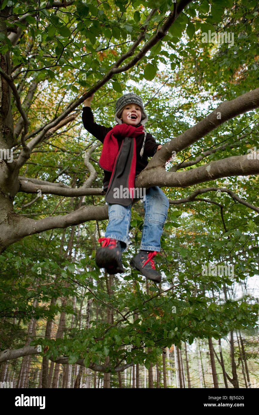 Boy up on a tree Stock Photo - Alamy