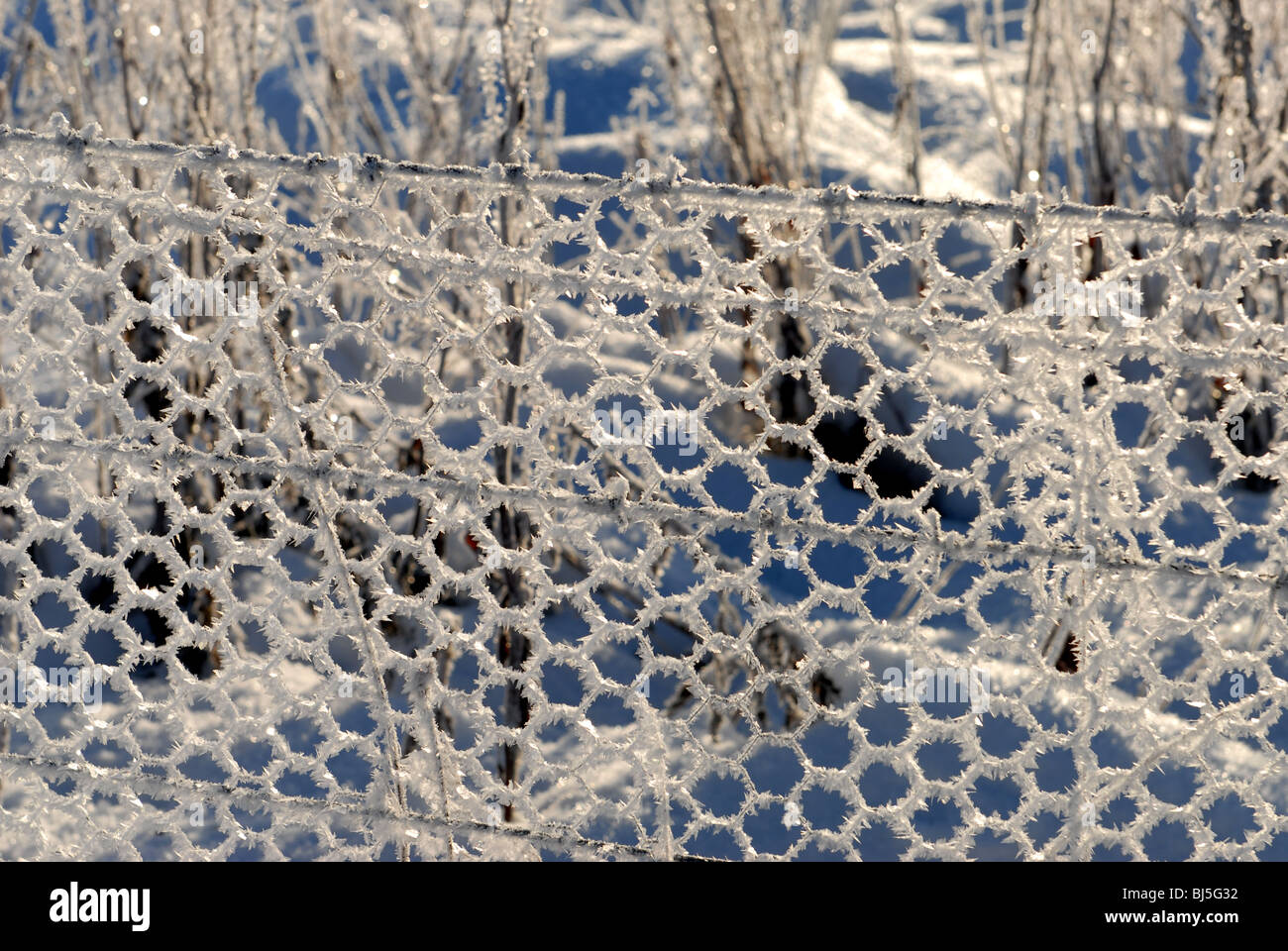 Temperatures of minus 17 and beyond created pretty patterns and effects ...