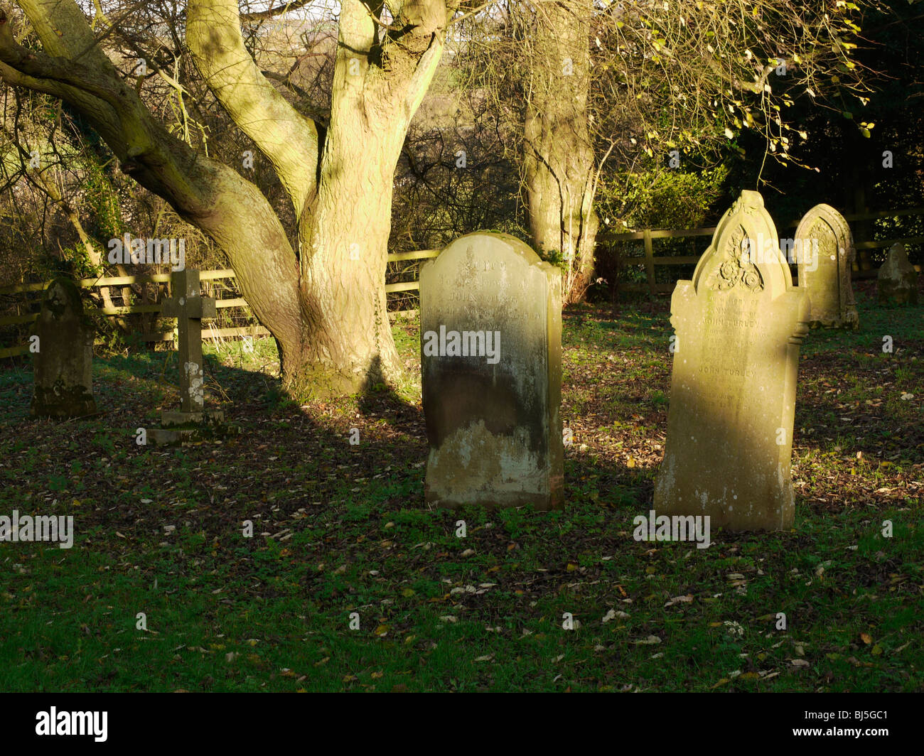 gravestones lit by the sun in a country cemetery Stock Photo - Alamy
