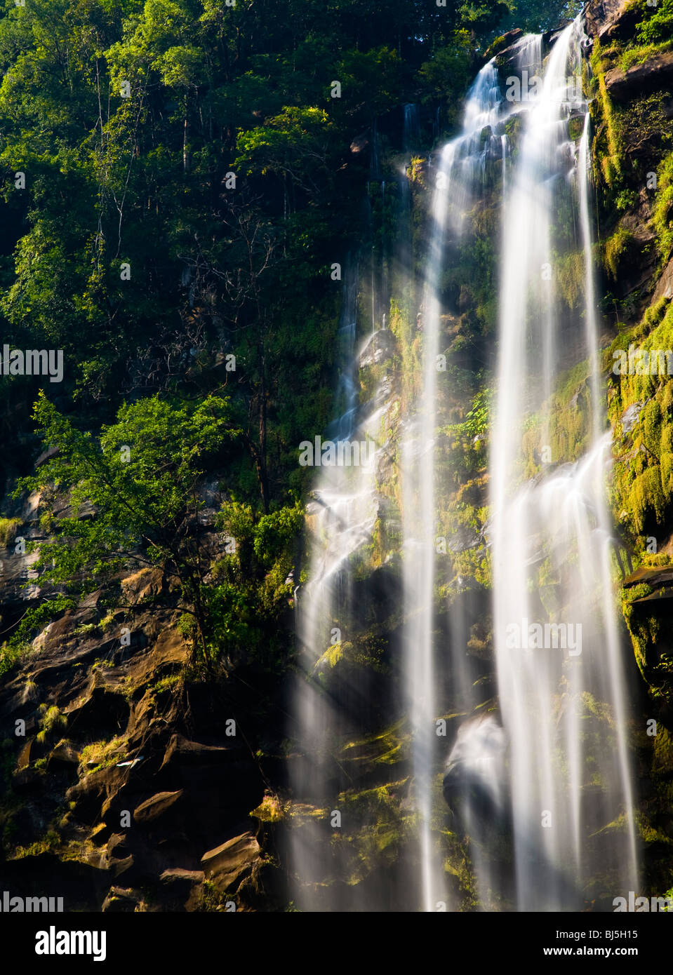 Laos, Ban Na Hin, Waterfall. Shafts of light pass through vegetation ...