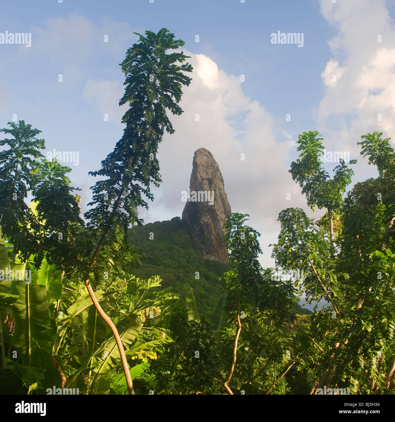 Morro do Pico, Fernando de Noronha National Marine Sanctuary ...