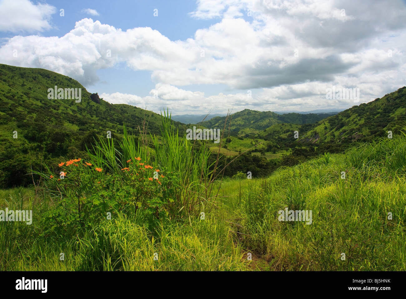 Cameroon mountain hi-res stock photography and images - Alamy