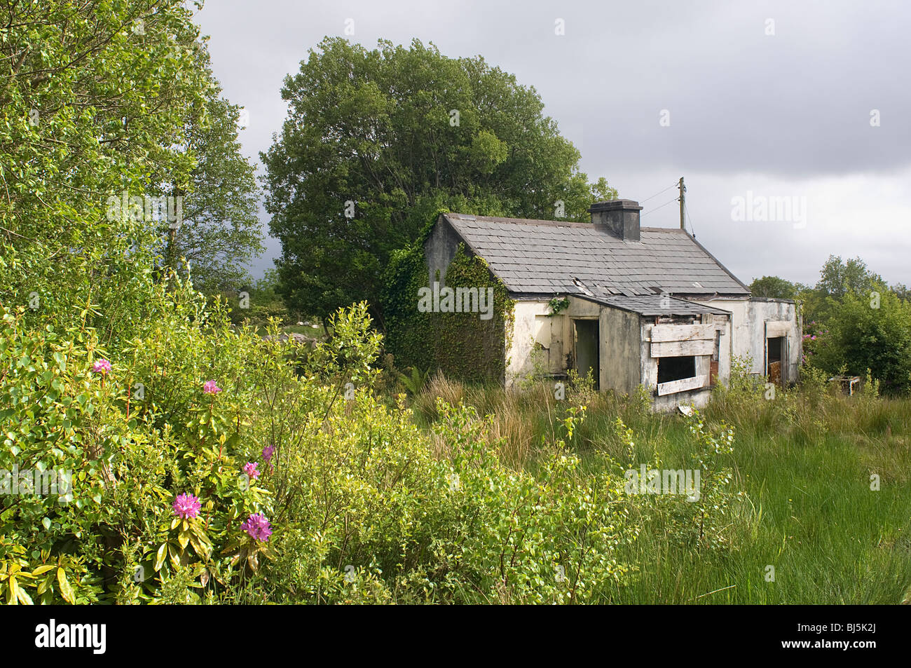 Irish famine cottage hi-res stock photography and images - Alamy