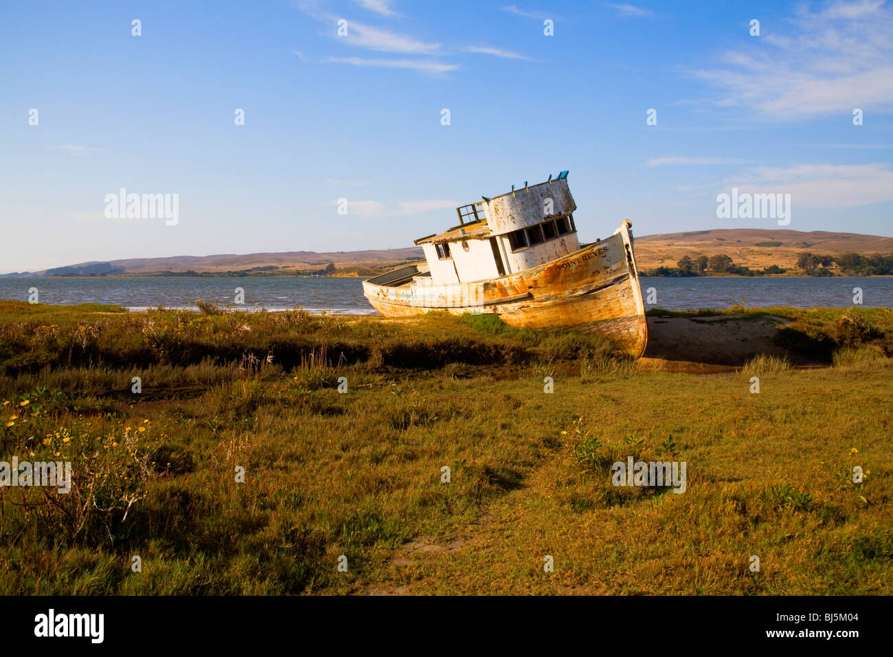 Point reyes hi-res stock photography and images - Alamy