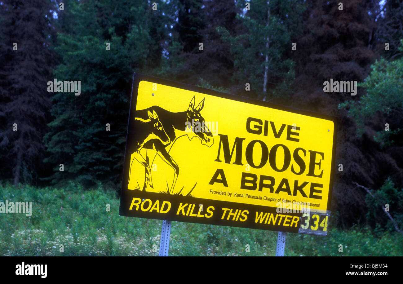 Give Moose a break warning sign in Alaska USA Stock Photo - Alamy