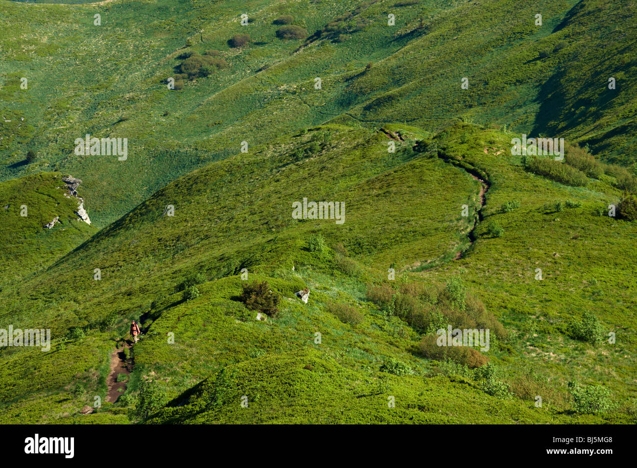 View of Bieszczady Mountains in may, Halicz, Rozsypaniec, Poland Stock ...