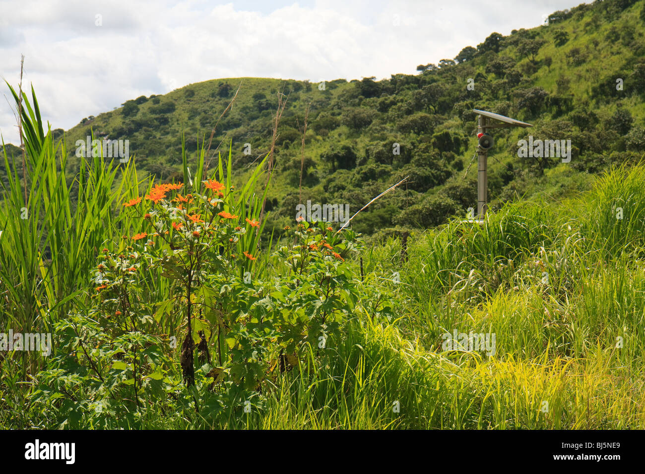 Africa Cameroon Lake Nyos Mountain Valley Stock Photo - Alamy