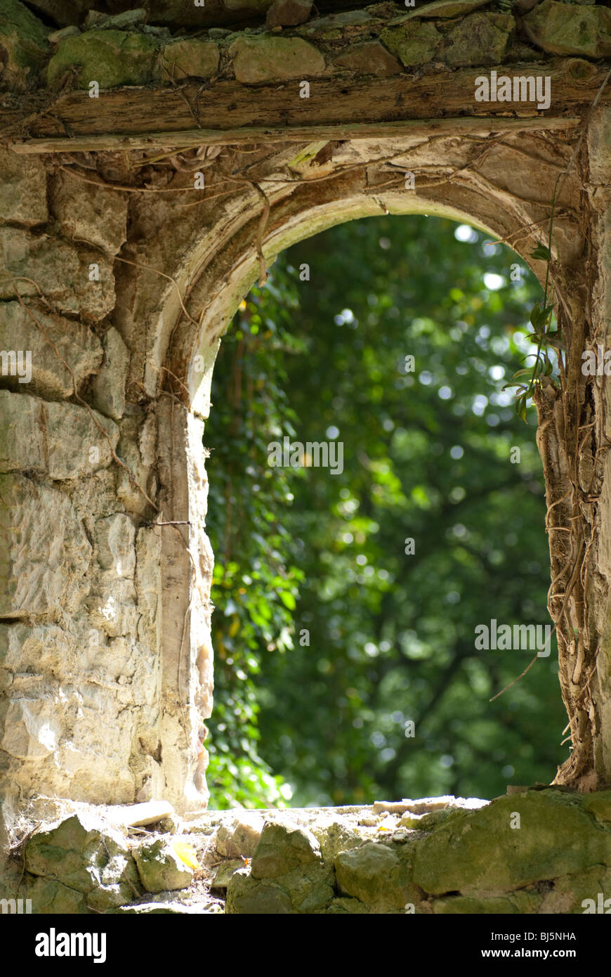 view to trees through a ruined window Stock Photo - Alamy