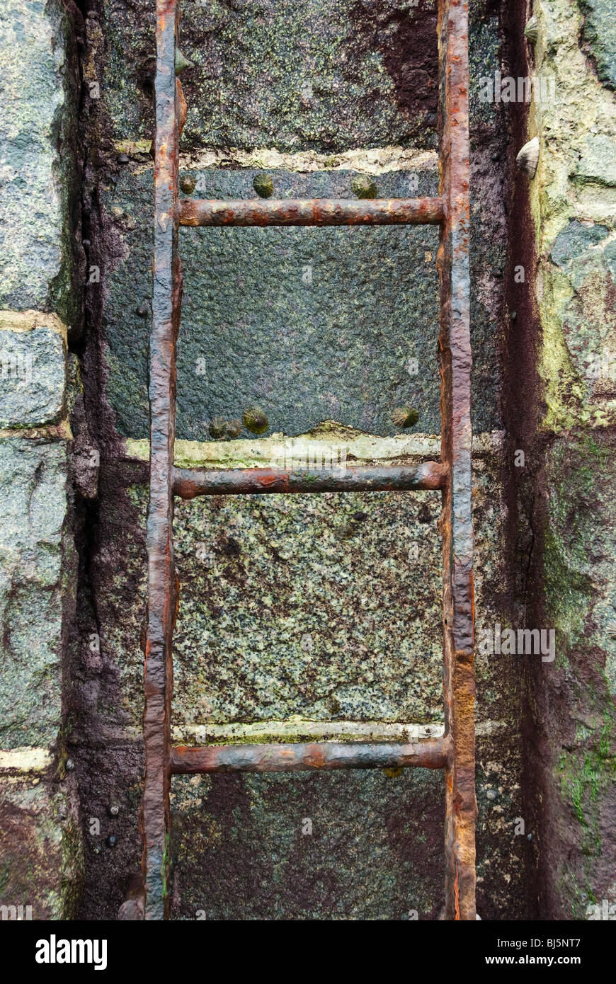 Rusty metal latter in harbour wall Stock Photo - Alamy