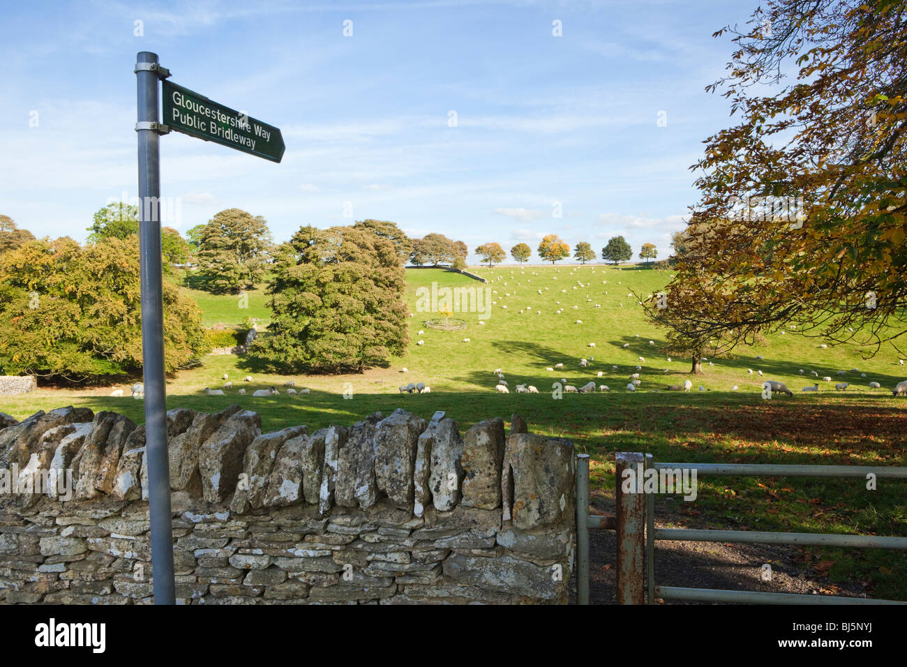 Sheep gates hi-res stock photography and images - Alamy